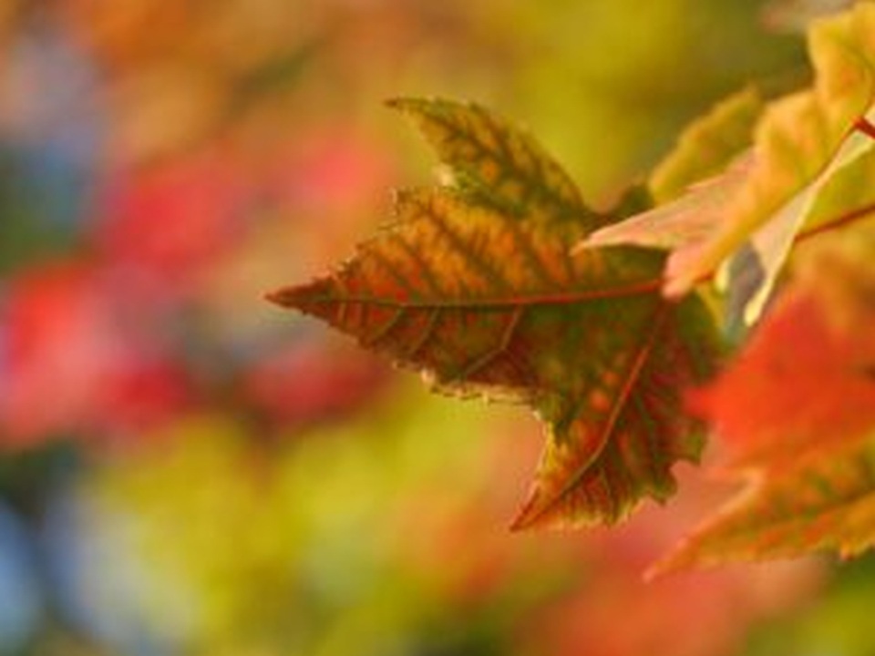 Bible Verses About Change: Encouragement from Scripture During Times of ...