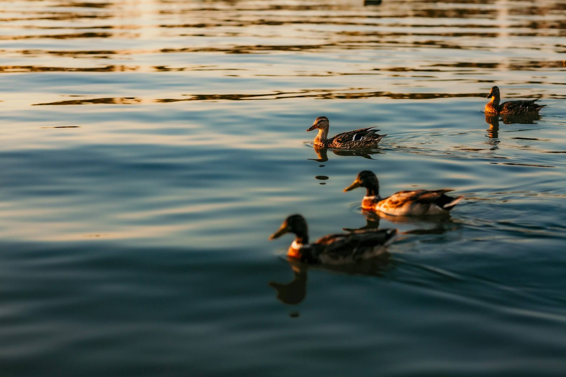 Signs of a Toxic Relationship: 9 Types of Toxic Friendships | Texas ...