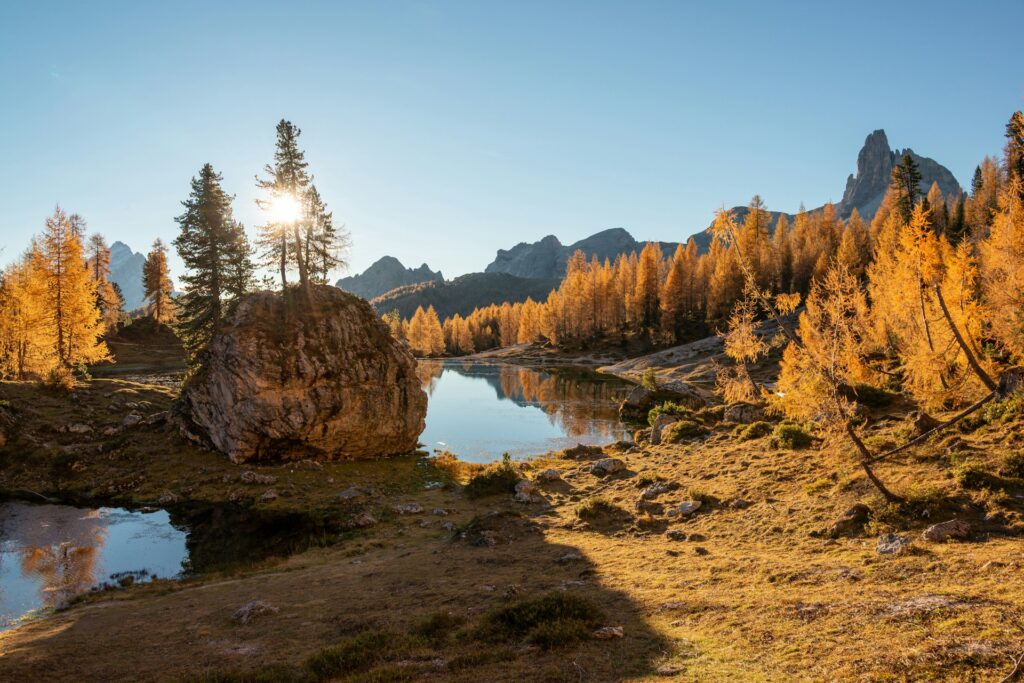 Self-Reflection and Spiritual Maturity: A Pathway to Inner Growth ...