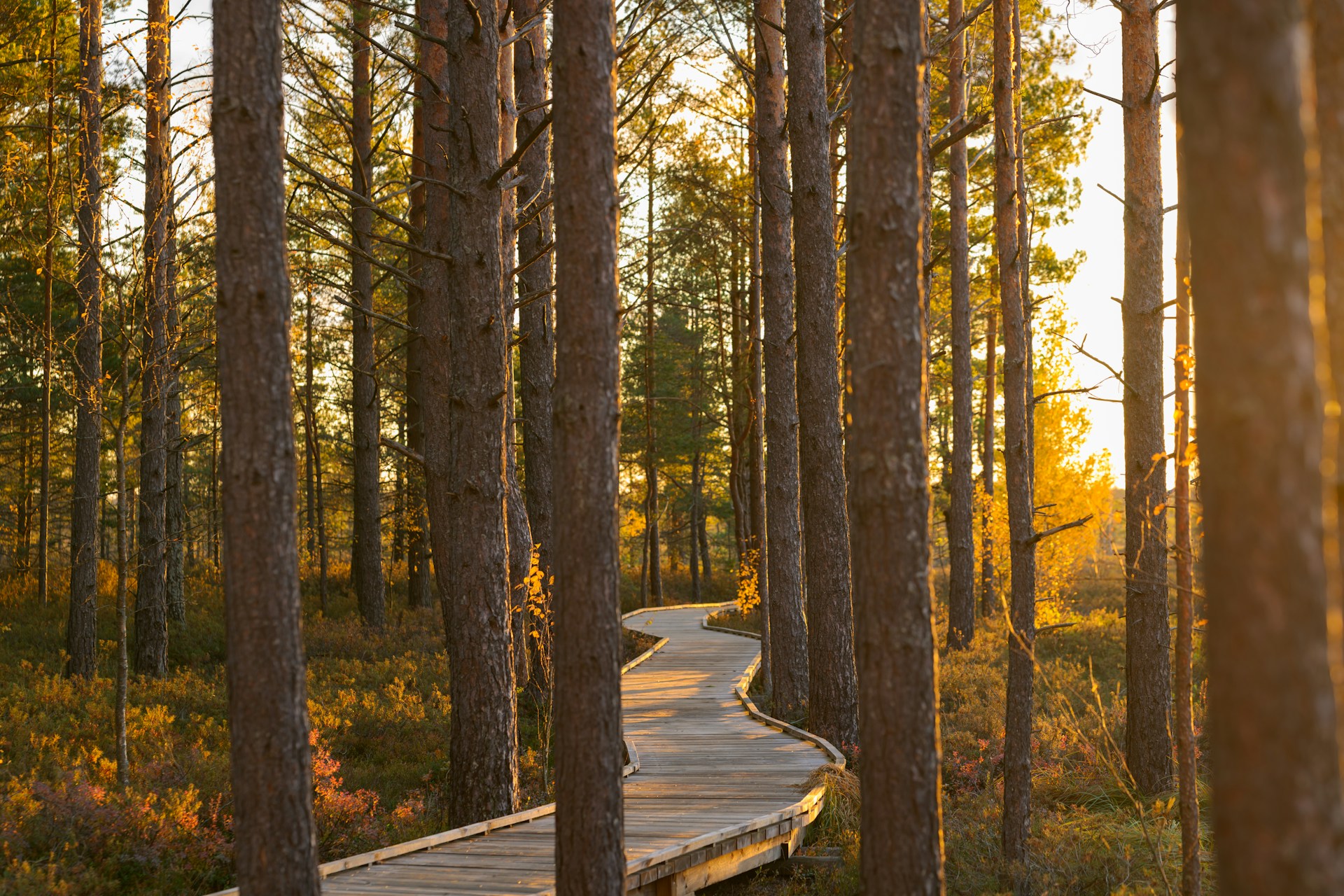 Self-Reflection and Spiritual Maturity: A Pathway to Inner Growth ...