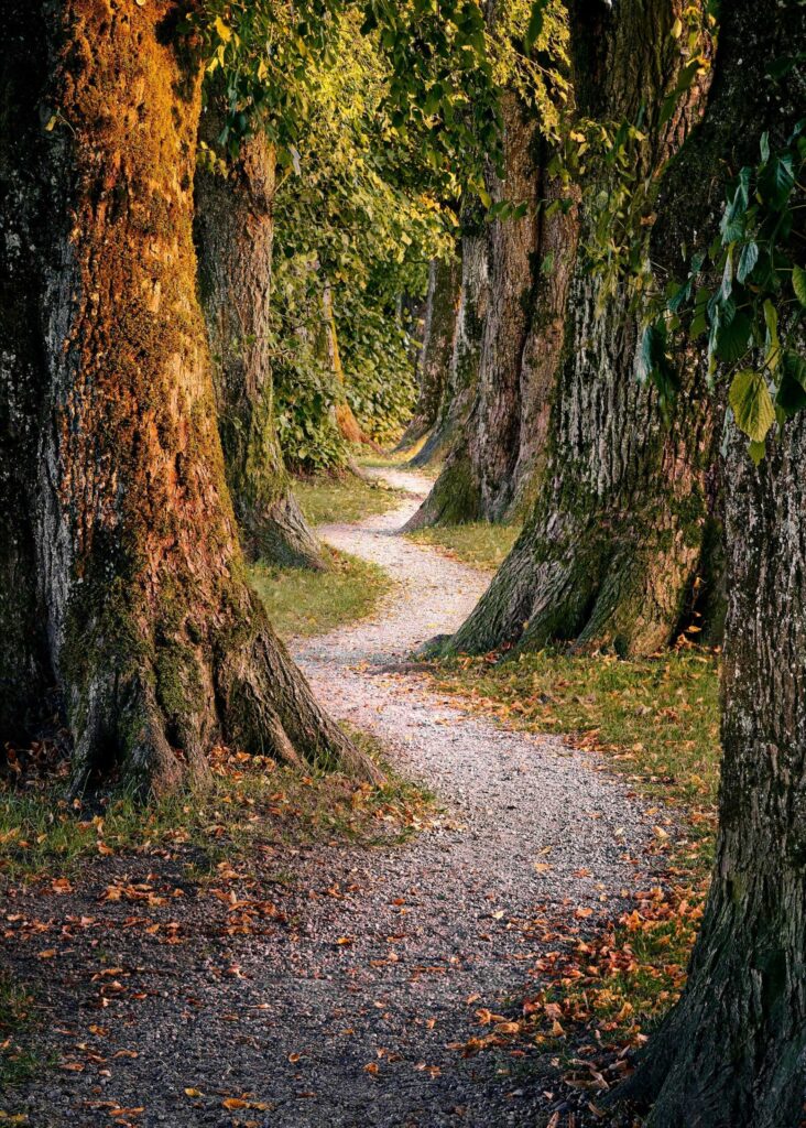 Self-Reflection and Spiritual Maturity: A Pathway to Inner Growth | Texas Christian Counseling