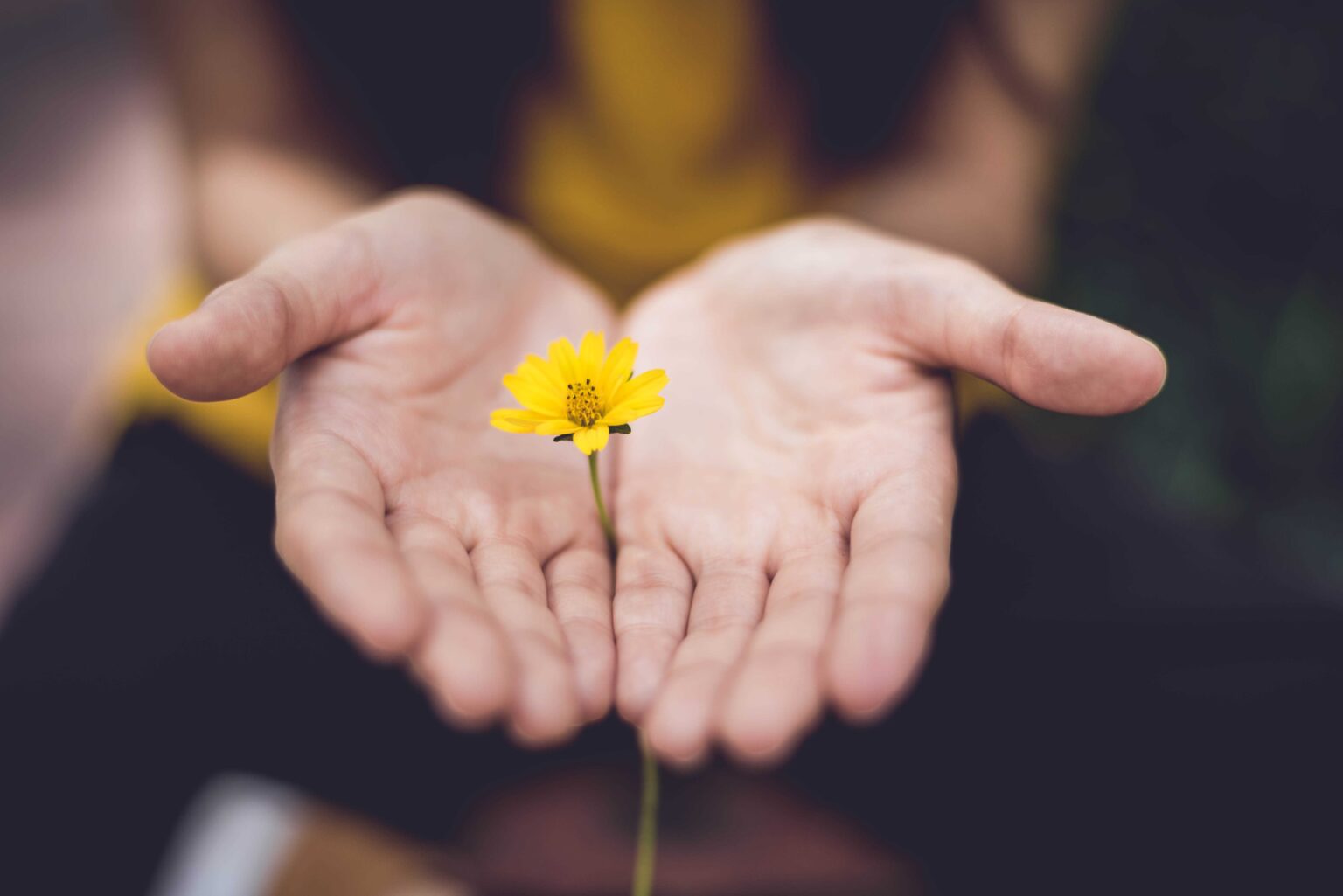 10 Things to Know about Processing Trauma | Texas Christian Counseling