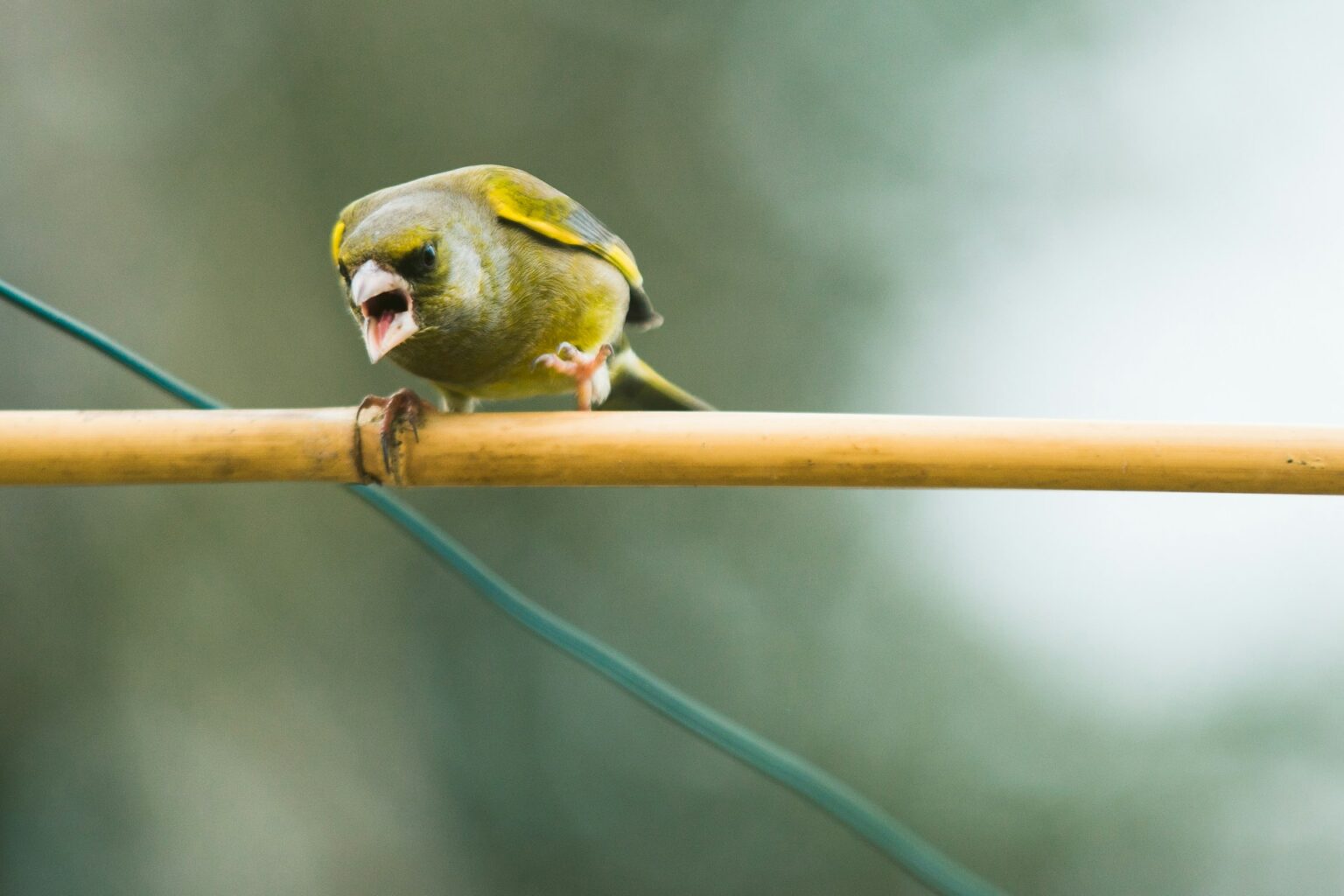 Some Common (and More Hidden) Signs of Anger Issues | Texas Christian ...